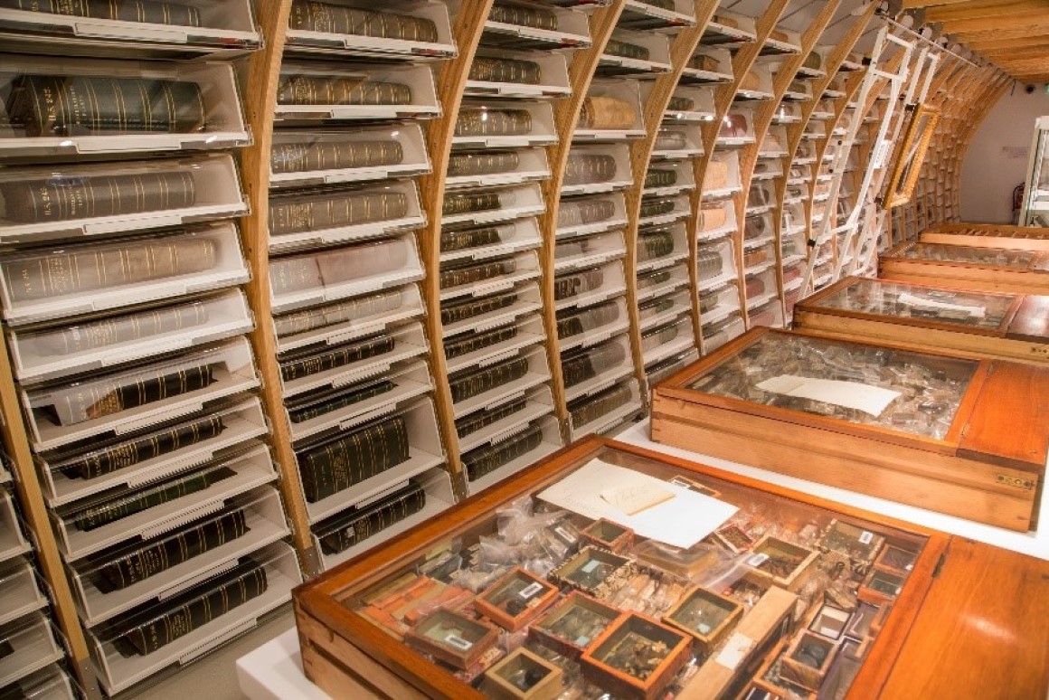 Le Natural History Museum, partenaire d’un nouveau projet numérique ...