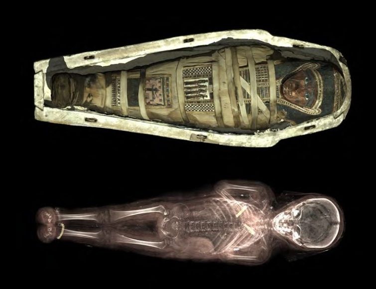 Dans les salles et hors les murs, l’exposition du Muséum de Toulouse ...