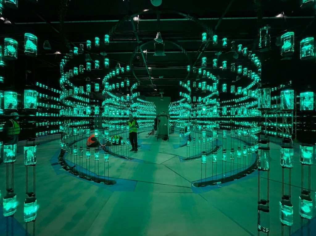 superflux library image 5 – Club Innovation & Culture CLIC France