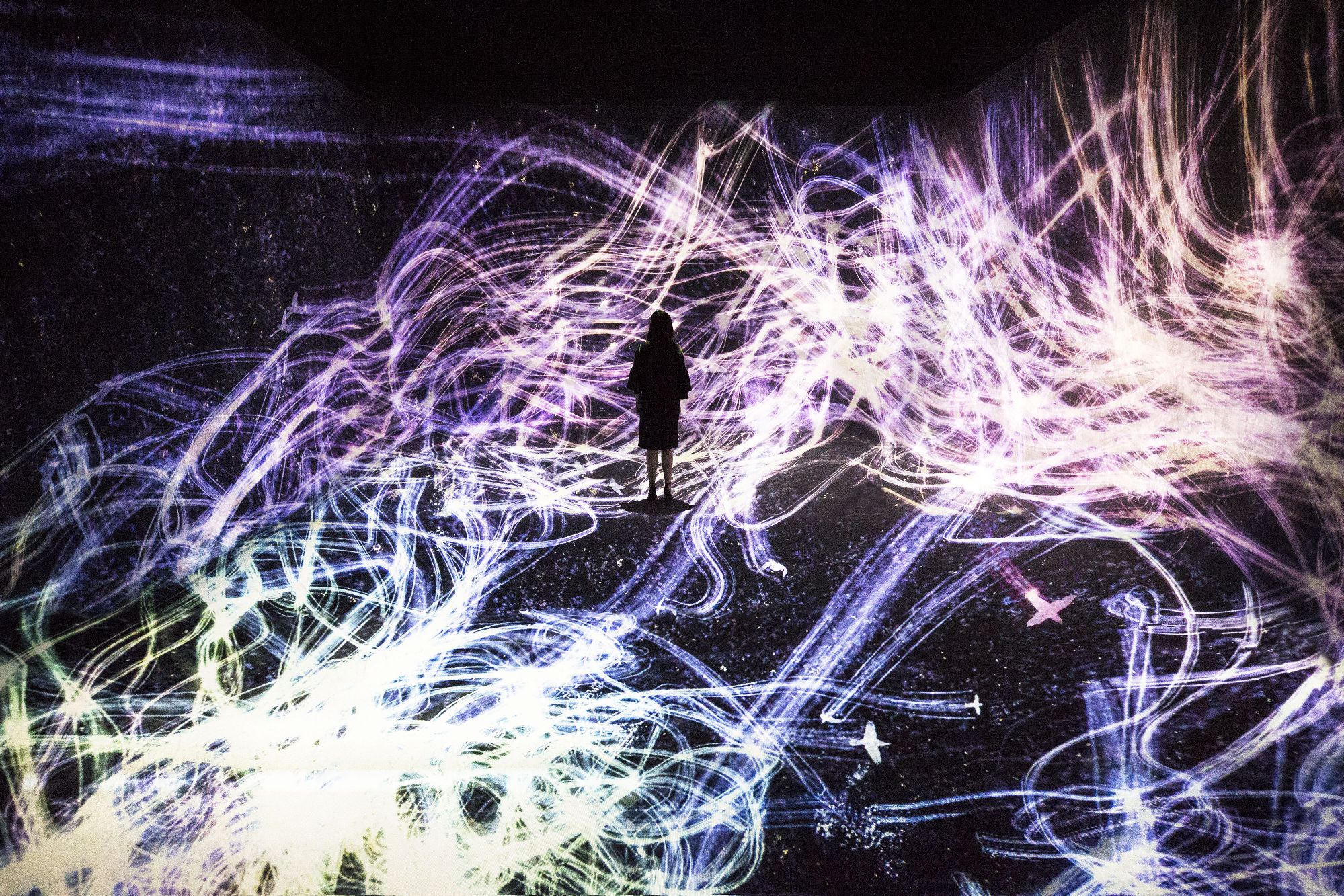 Le collectif japonais Teamlab installe sa nouvelle expérience immersive ...