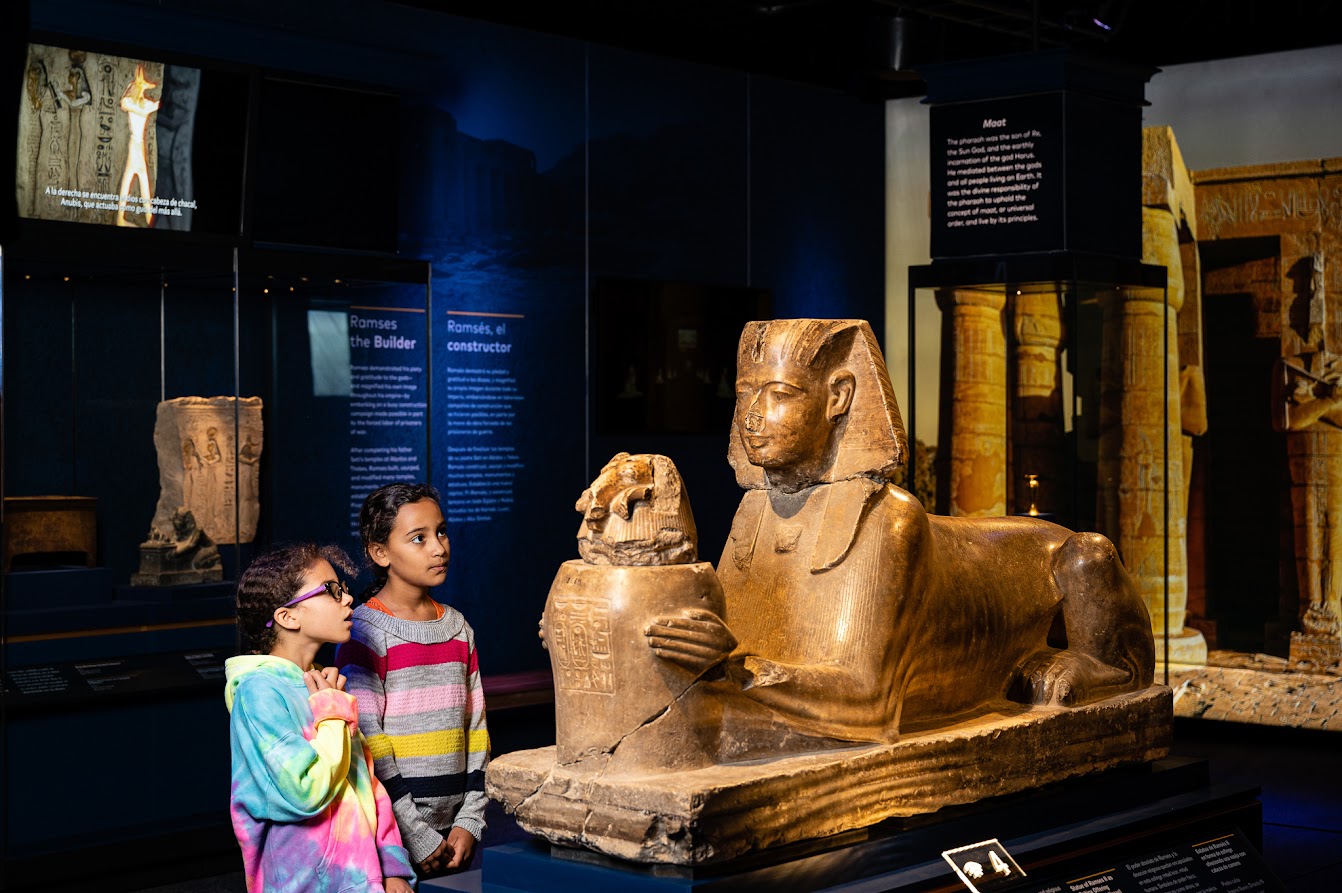 whe Ramses the Great and the Gold of The Pharaohs kids Photo 3 – Club ...